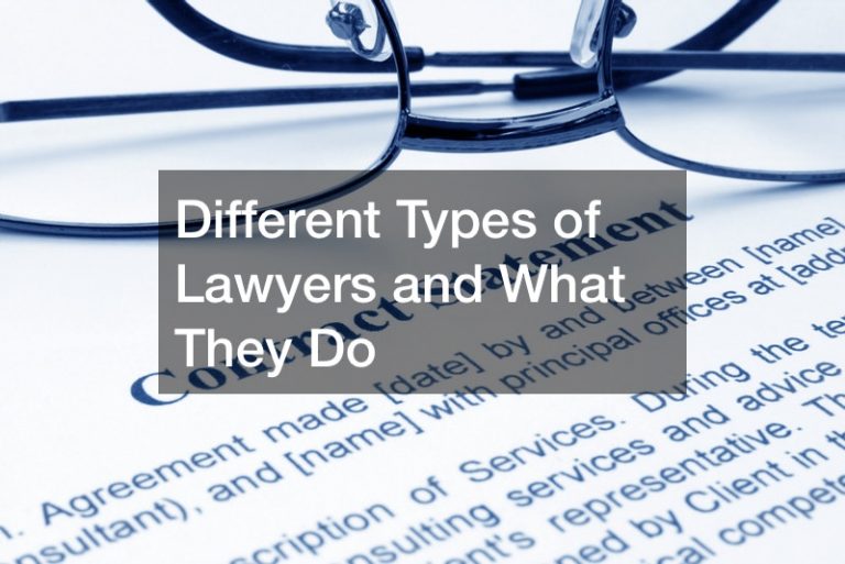 Different Types of Lawyers and What They Do - Megamez